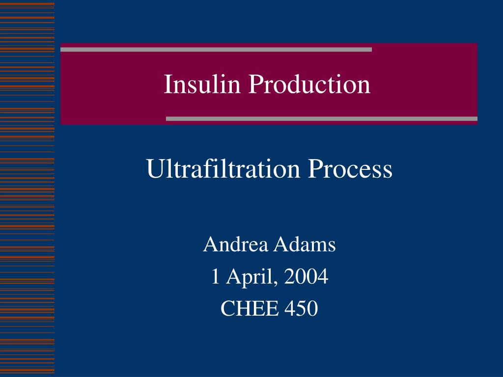 PPT - Insulin Production PowerPoint Presentation, free download - ID ...