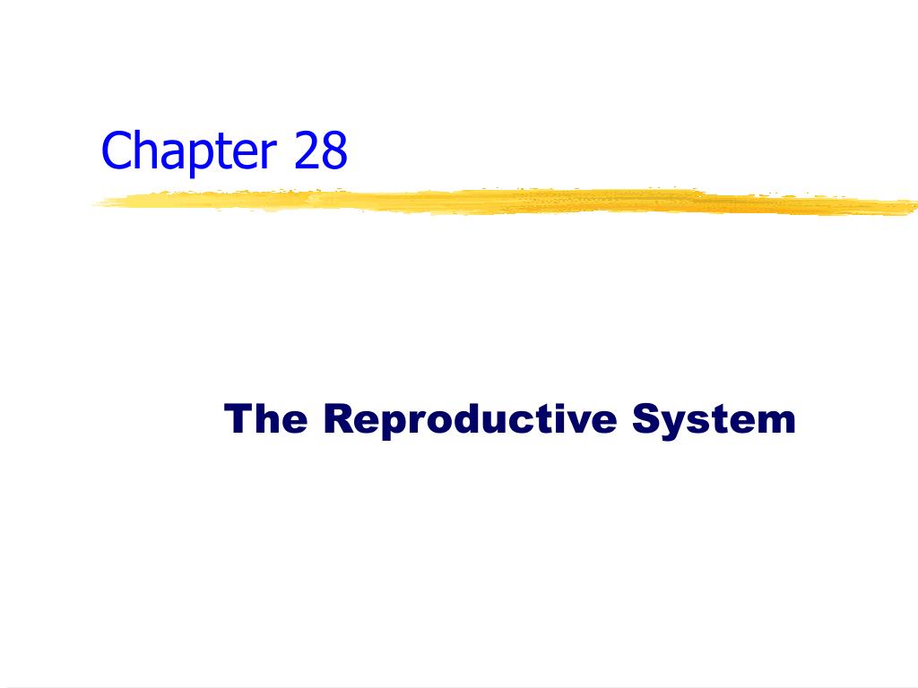 PPT - Chapter 28 PowerPoint Presentation, free download - ID:4452169