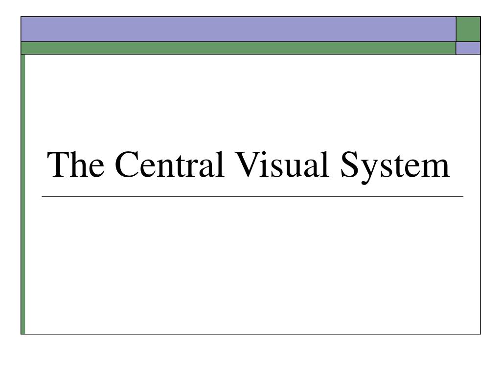 PPT - The Central Visual System PowerPoint Presentation, free download ...
