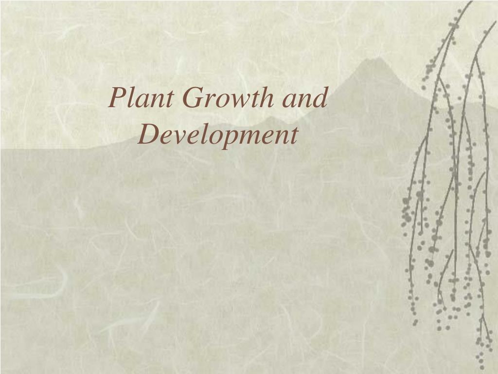 PPT - Plant Growth and Development PowerPoint Presentation, free ...