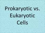 PPT - Prokaryotic and Eukaryotic mRNAs PowerPoint Presentation, free ...