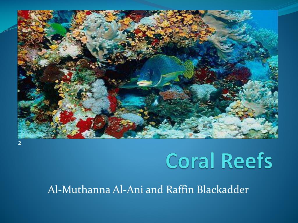 PPT - Coral Reefs PowerPoint Presentation, free download - ID:4466469