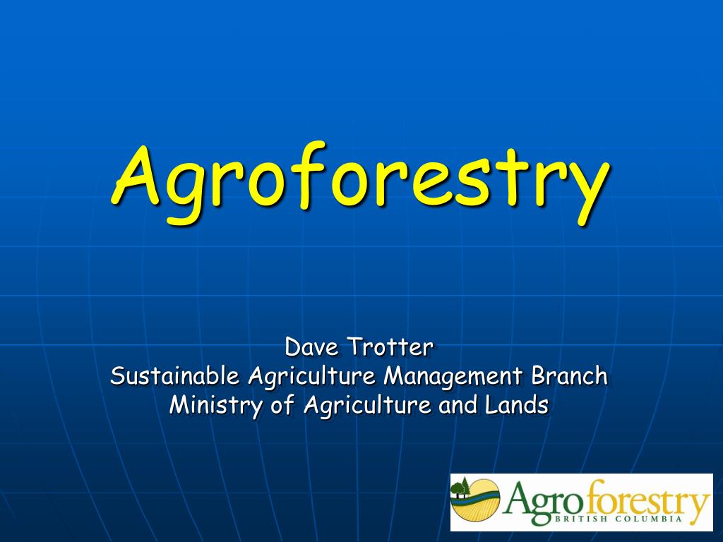 PPT - Agroforestry PowerPoint Presentation, free download - ID:4467348