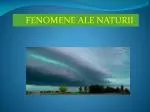 PPT - FENOMENE ALE NATURII PowerPoint Presentation, free download - ID ...