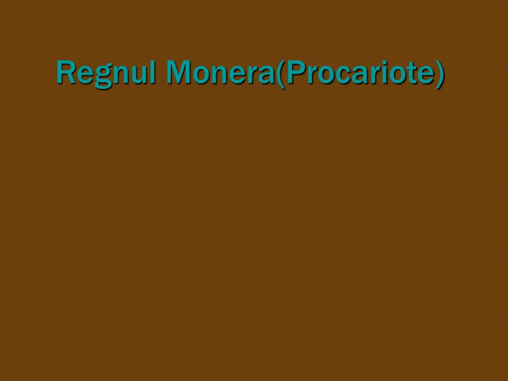 PPT - Regnul Monera(Procariote) PowerPoint Presentation, free download - ID:4470249