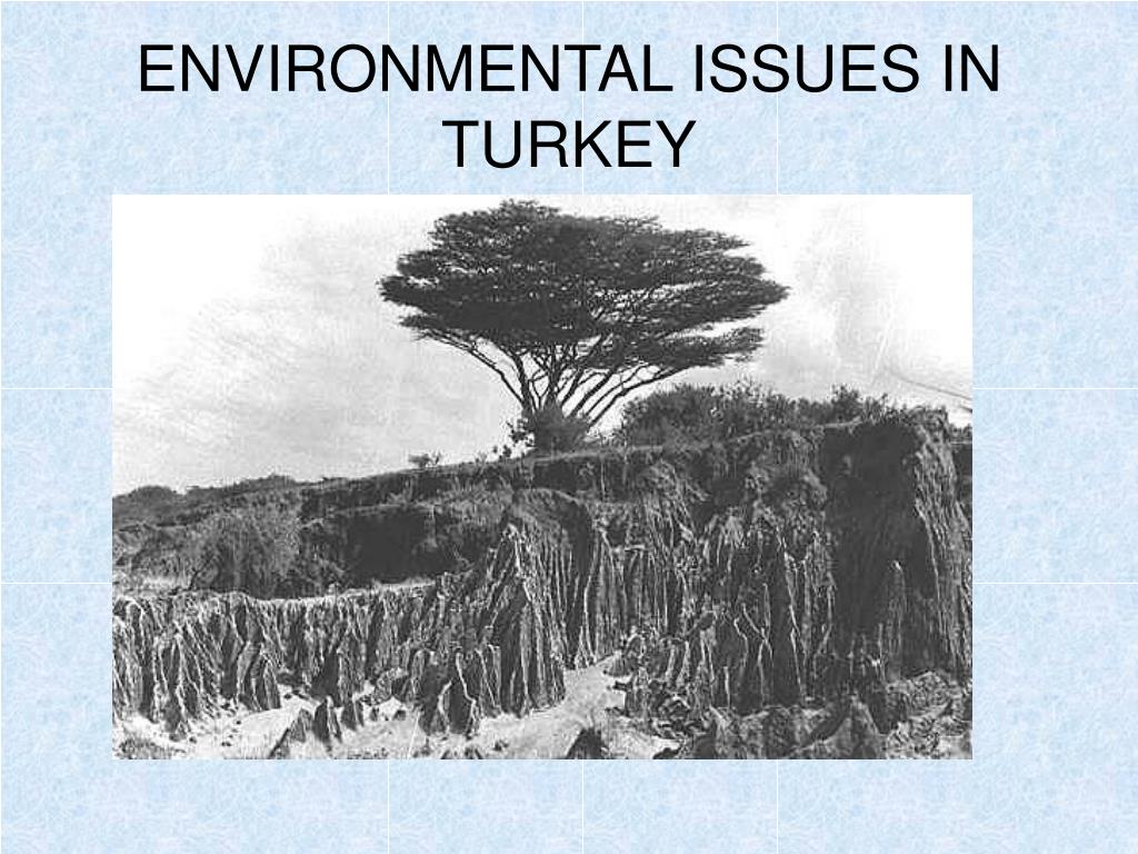 PPT - ENVIRONMENTAL ISSUES IN TURKEY PowerPoint Presentation, free ...