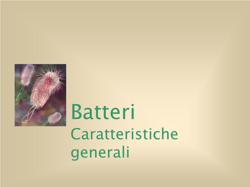PPT - Batteri Caratteristiche generali PowerPoint Presentation, free ...