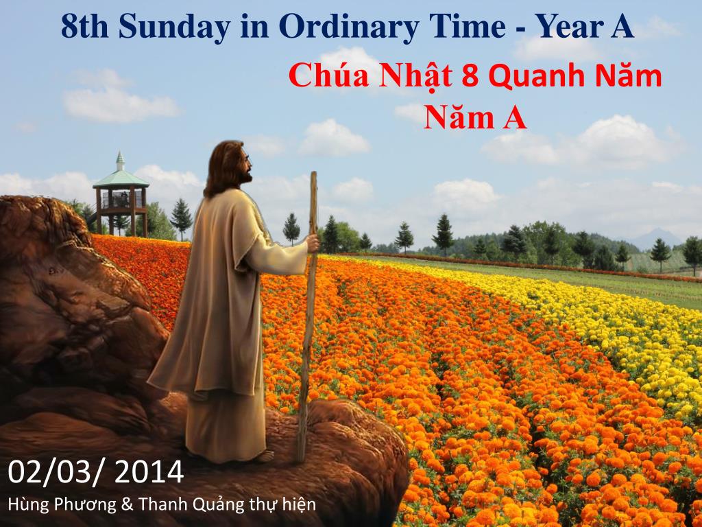 PPT - 8th Sunday in Ordinary Time - Year A PowerPoint Presentation ...