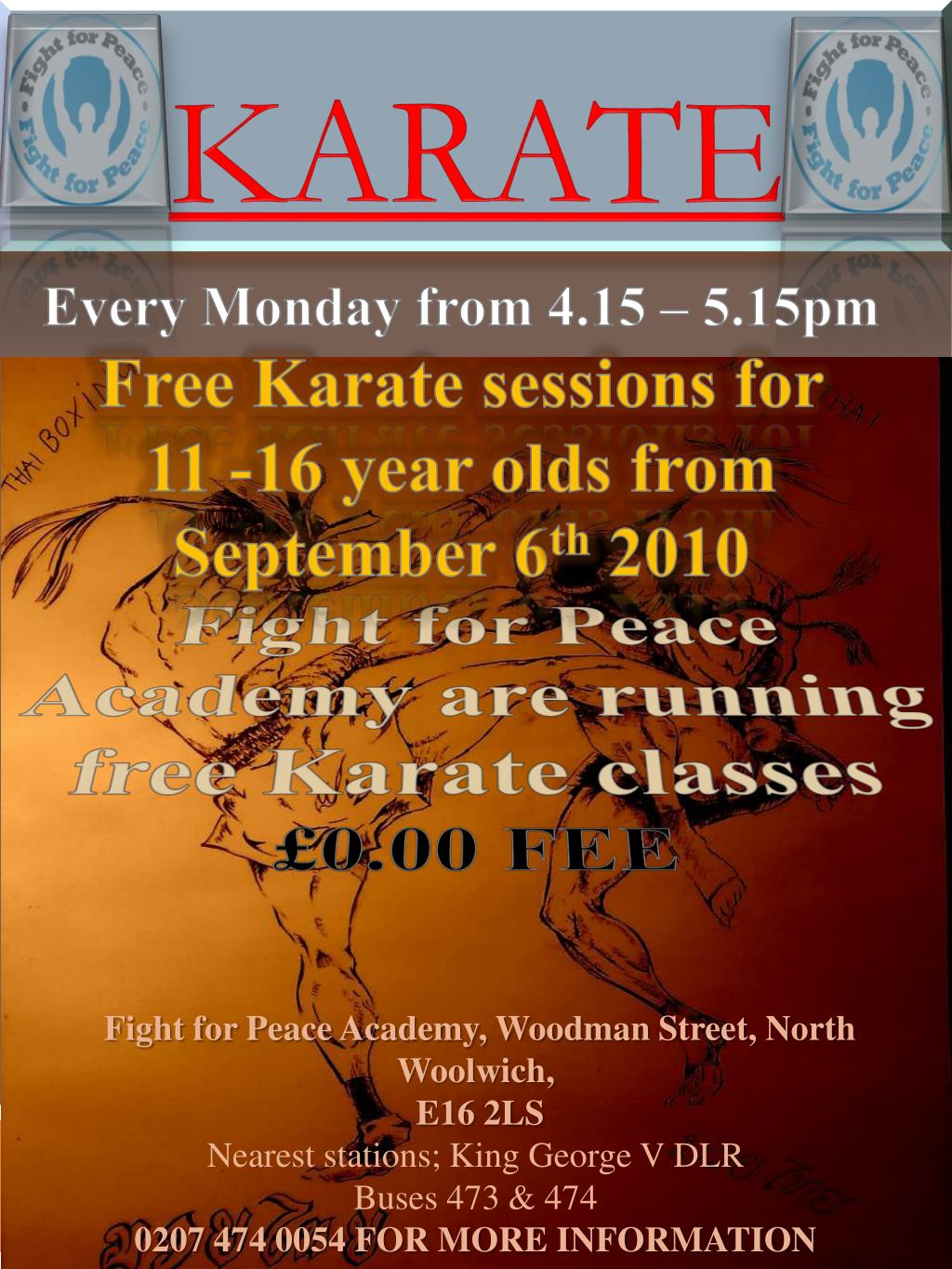 PPT - Karate PowerPoint Presentation, free download - ID:4475318