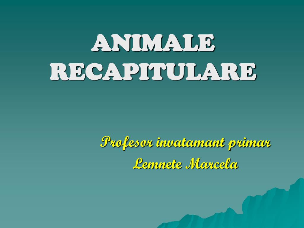 PPT - ANIMALE RECAPITULARE PowerPoint Presentation, free download - ID:4480339