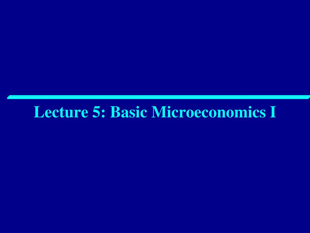 PPT - Lecture 5: Basic Microeconomics I PowerPoint Presentation, free ...