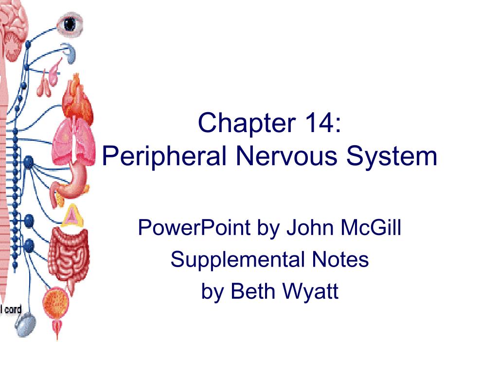 PPT - Chapter 14: Peripheral Nervous System PowerPoint Presentation ...