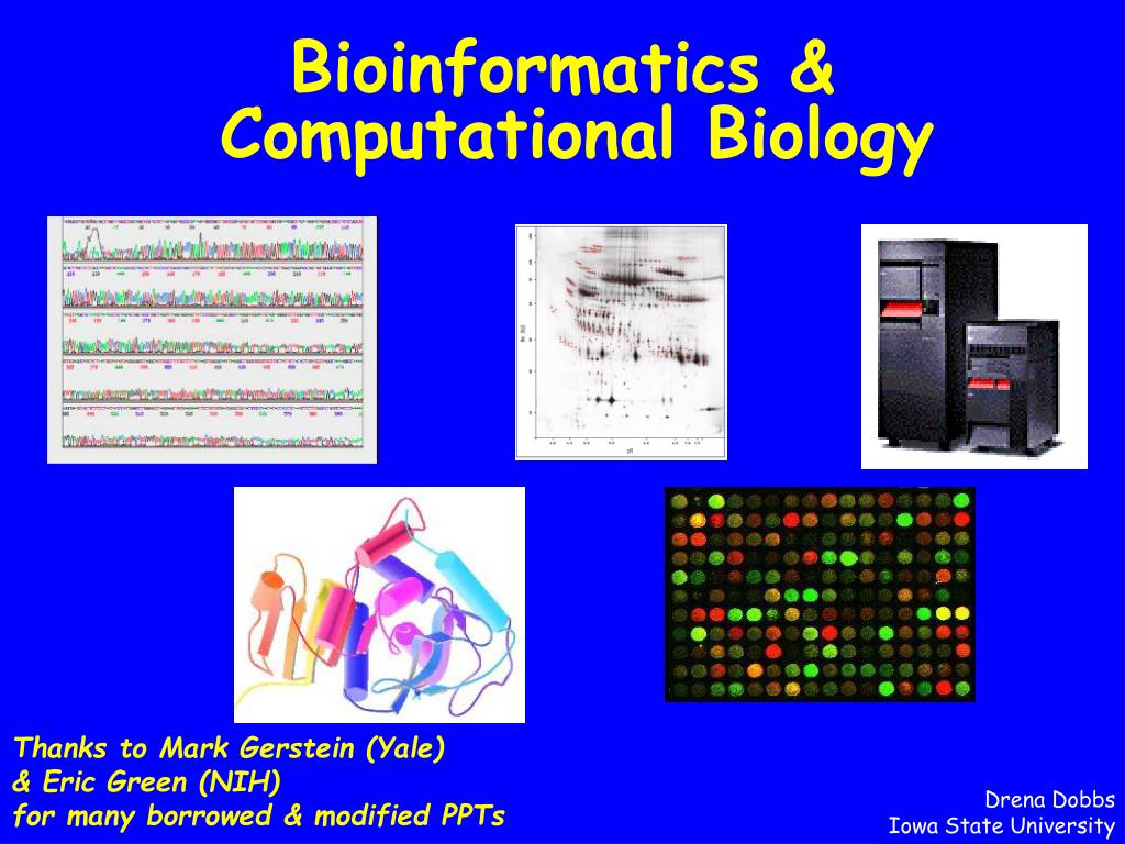 PPT - Bioinformatics & Computational Biology PowerPoint Presentation ...