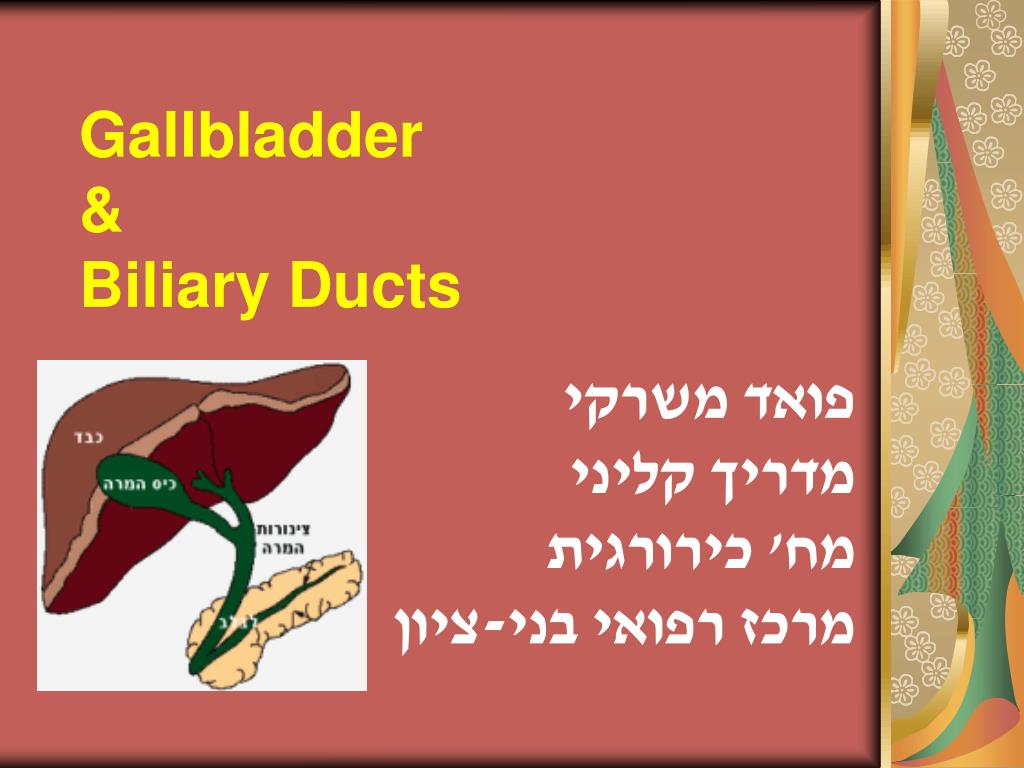 PPT - Gallbladder & Biliary Ducts PowerPoint Presentation, free ...