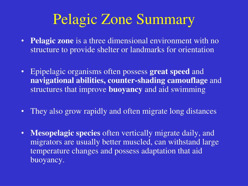 PPT - Pelagic Zone Summary PowerPoint Presentation, free download - ID ...