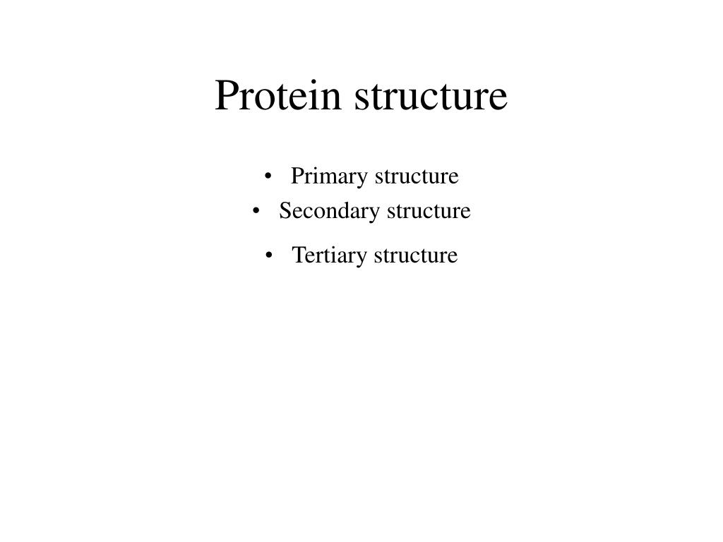 PPT - Protein structure PowerPoint Presentation, free download - ID:4491683