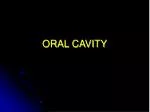 PPT - ORAL CAVITY PowerPoint Presentation, free download - ID:2171850