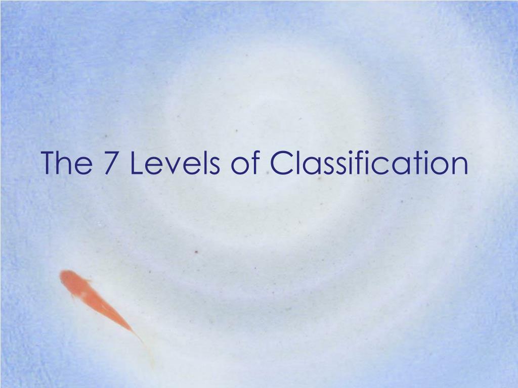 PPT - The 7 Levels of Classification PowerPoint Presentation, free ...