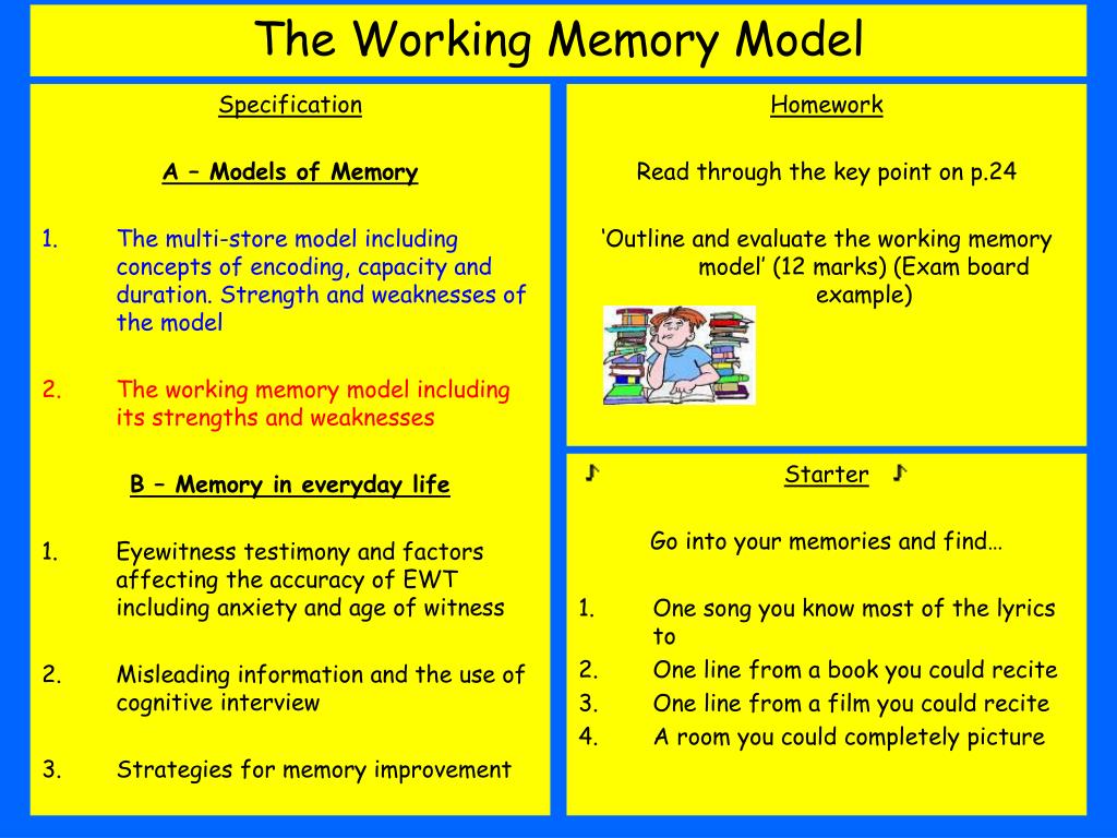 PPT - The Working Memory Model PowerPoint Presentation, free download ...