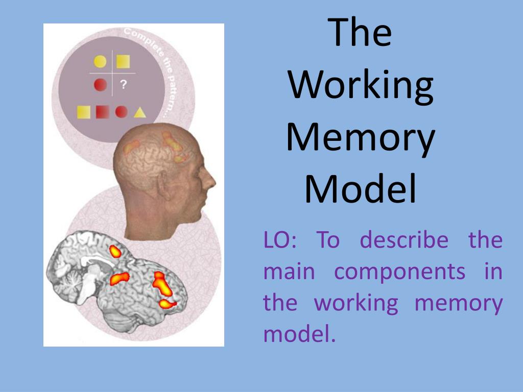 PPT - The Working Memory Model PowerPoint Presentation, free download ...