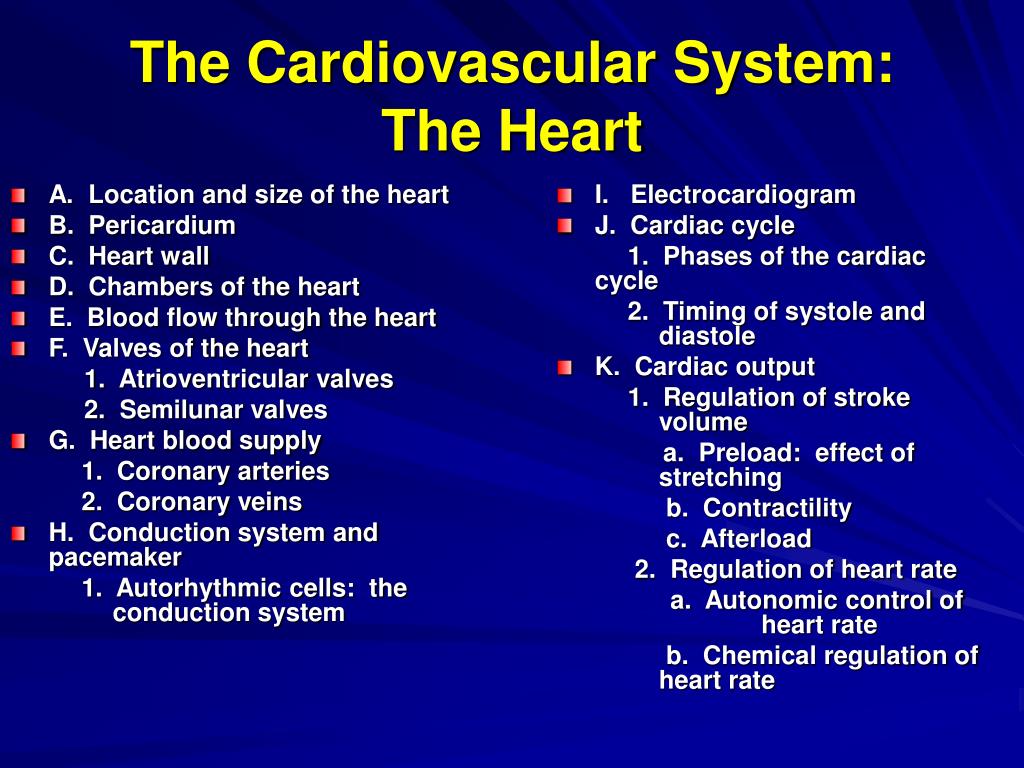 PPT - The Cardiovascular System: The Heart PowerPoint Presentation ...