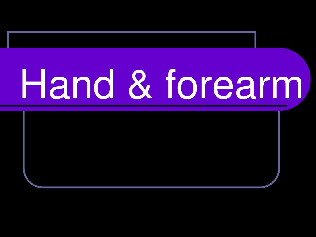 PPT - Hand & forearm PowerPoint Presentation, free download - ID:4505669