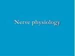 PPT - Nerve MUSCLE PHYSIOLOGY PowerPoint Presentation, free download ...