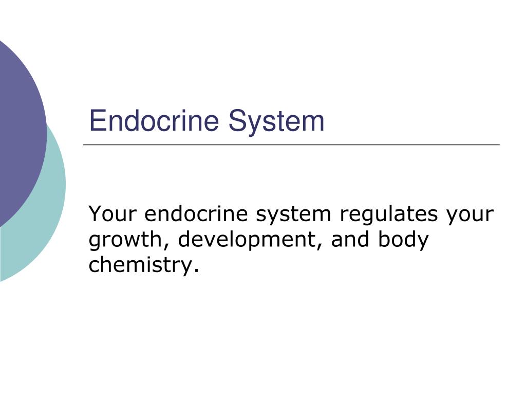 PPT - Endocrine System PowerPoint Presentation, free download - ID:4519360