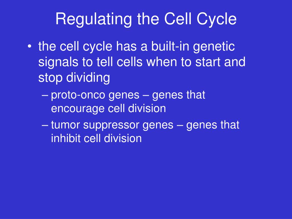 PPT - Understanding Cancer: Cell Cycle Regulation and Treatment Options ...