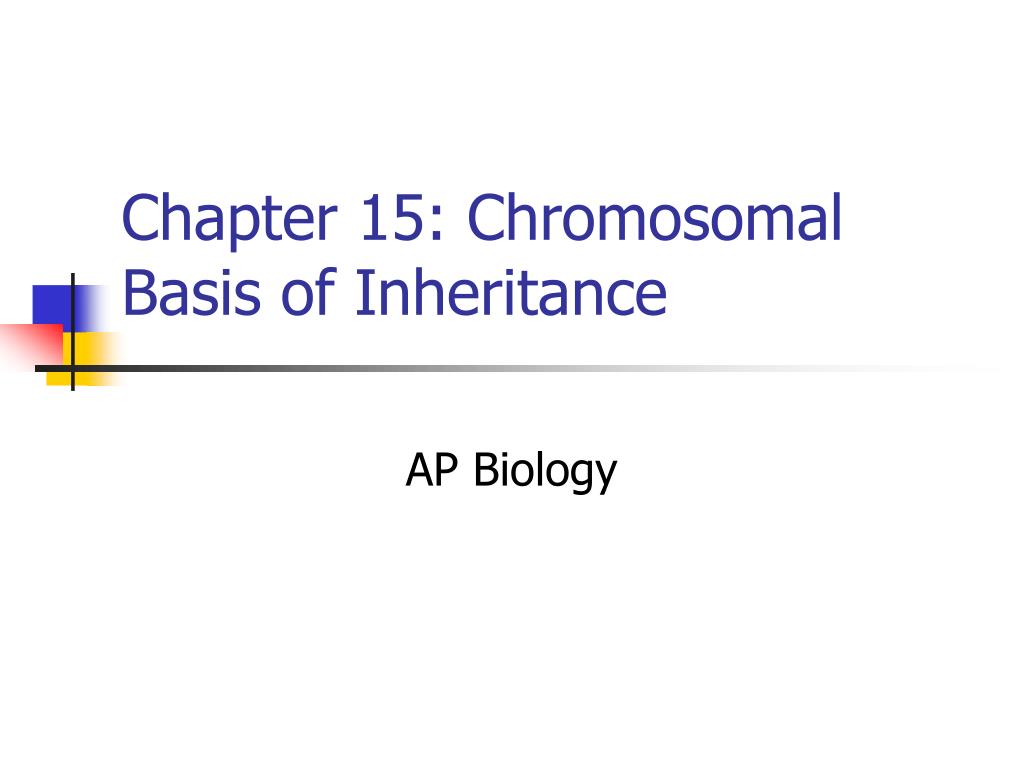 PPT - Chapter 15: Chromosomal Basis of Inheritance PowerPoint ...