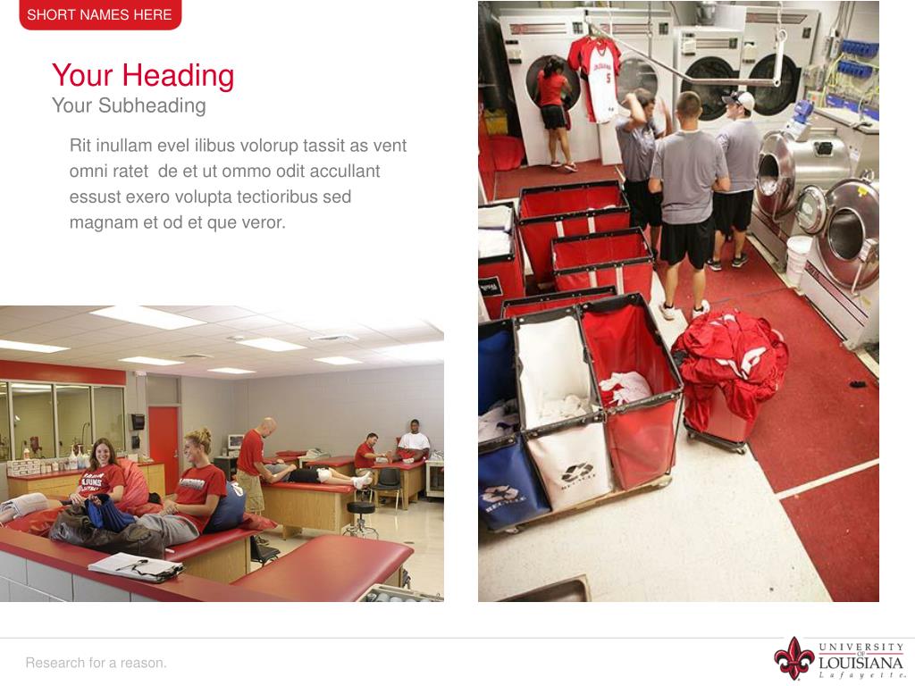 PPT - Your Heading Your Subheading PowerPoint Presentation, free ...