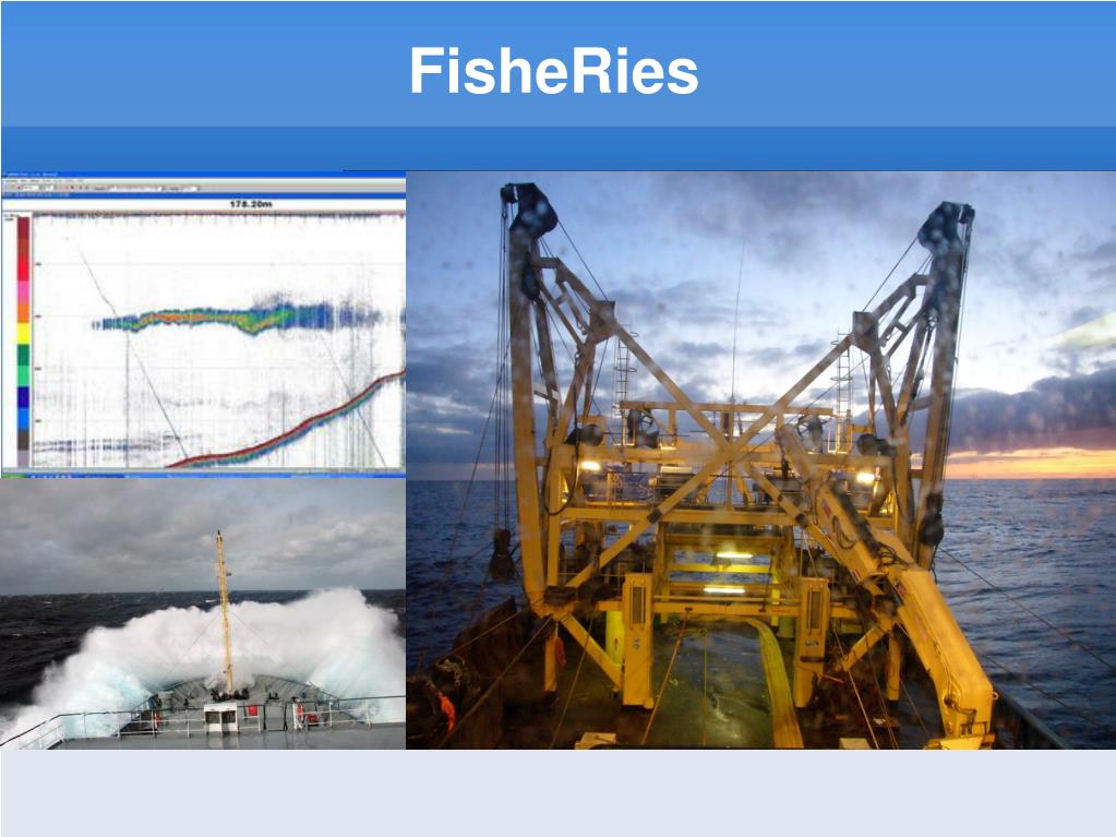 PPT - FisheRies PowerPoint Presentation, free download - ID:4528908