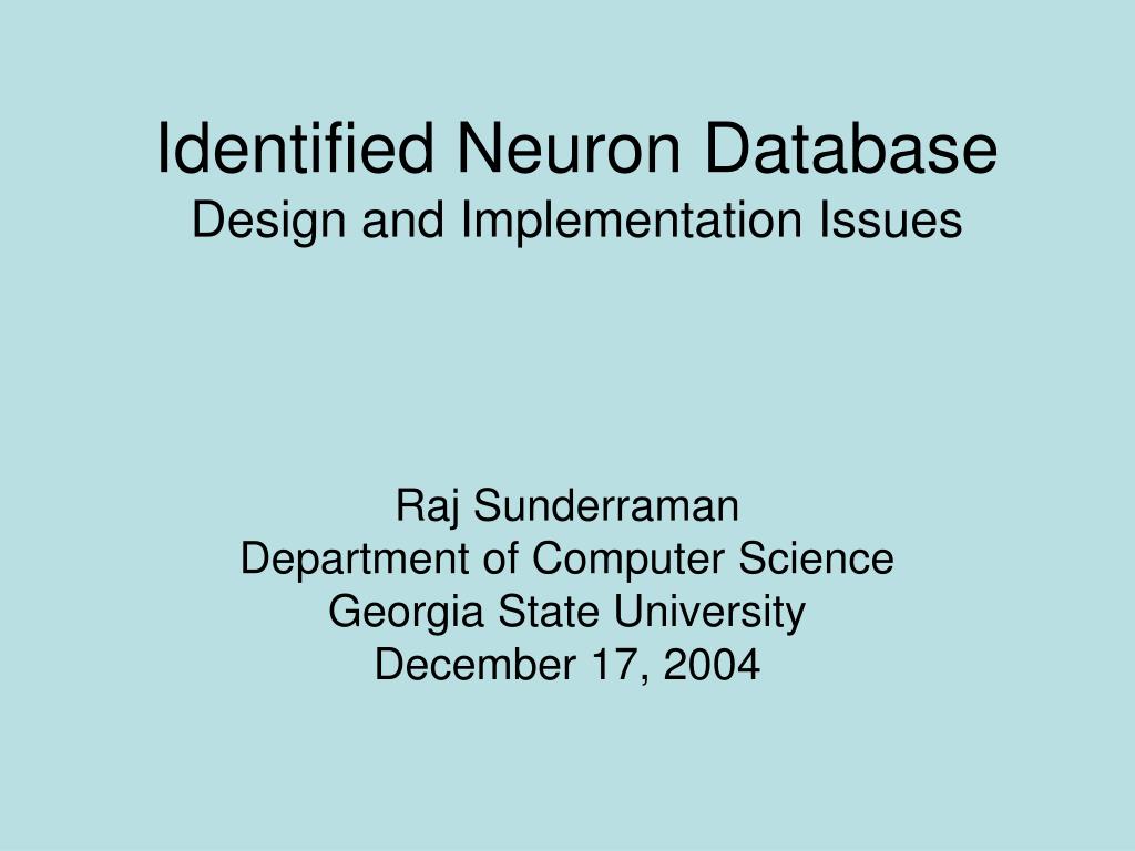 PPT - Identified Neuron Database Design and Implementation Issues PowerPoint Presentation - ID ...