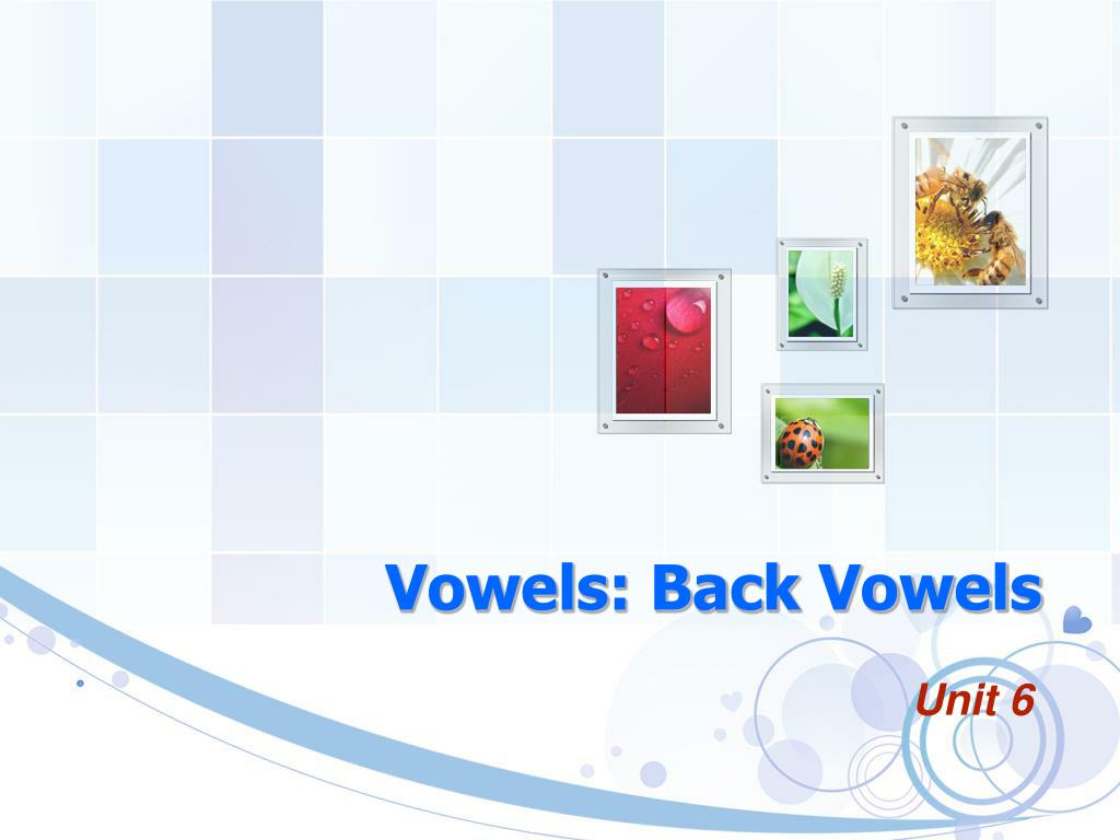 PPT - Vowels: Back Vowels PowerPoint Presentation, free download - ID ...