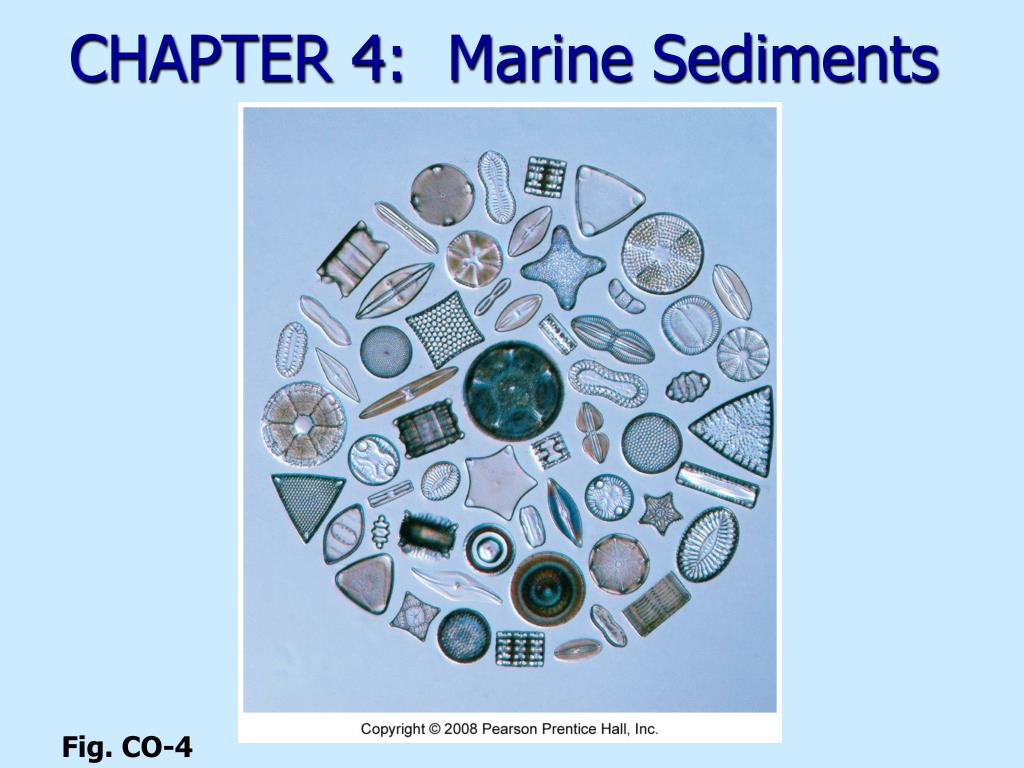 PPT - CHAPTER 4: Marine Sediments PowerPoint Presentation, free ...