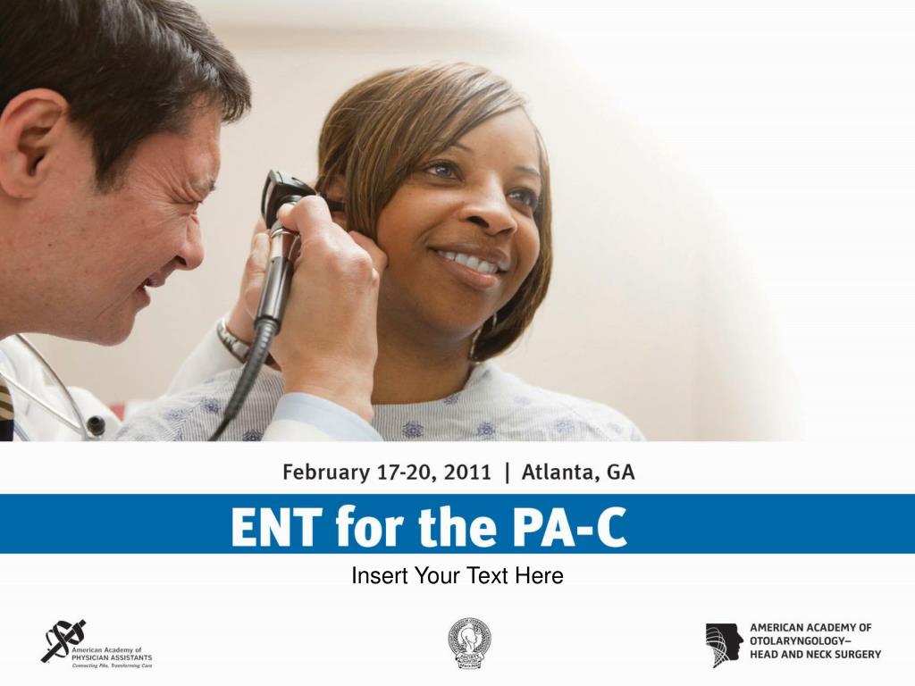 PPT - Insert Your Text Here PowerPoint Presentation, free download - ID ...