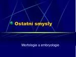 PPT - Smysly PowerPoint Presentation, free download - ID:6294689