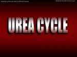 PPT - Urea Cycle PowerPoint Presentation, free download - ID:2240773