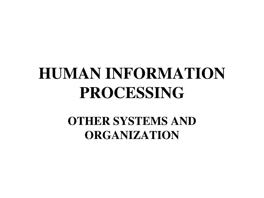 PPT - HUMAN INFORMATION PROCESSING PowerPoint Presentation, free ...