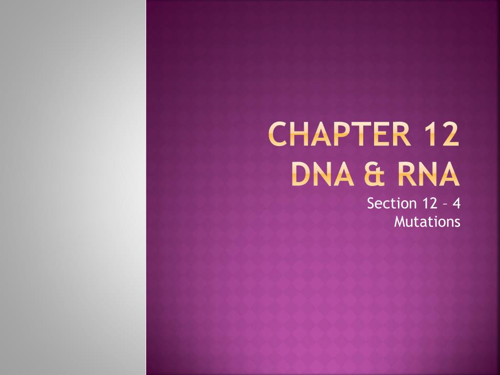 PPT - Chapter 12 DNA & RNA PowerPoint Presentation, free download - ID ...