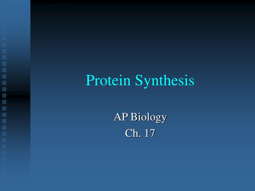 PPT - Protein Synthesis PowerPoint Presentation, free download - ID:4549739
