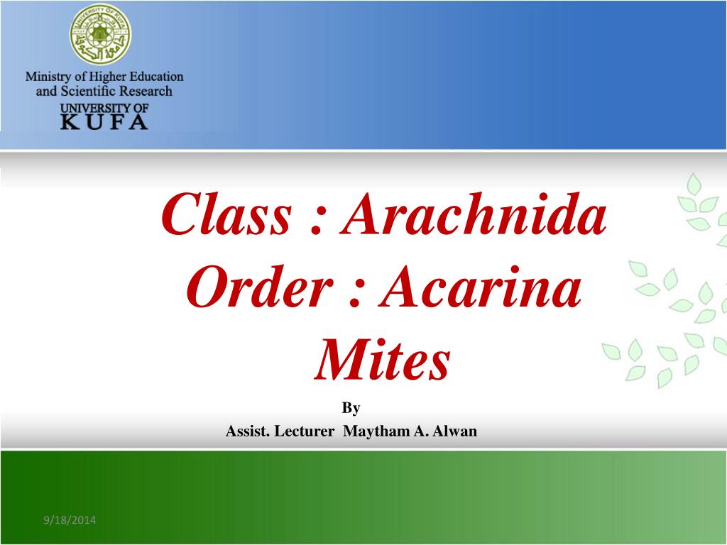 PPT - Class : Arachnida Order : Acarina Mites PowerPoint Presentation ...