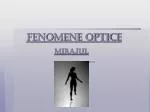 PPT - Fenomene ale naturii PowerPoint Presentation, free download - ID ...