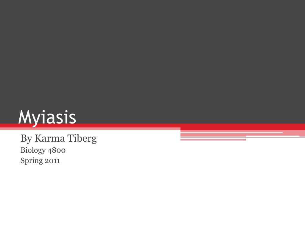 PPT - Myiasis PowerPoint Presentation, free download - ID:4553666