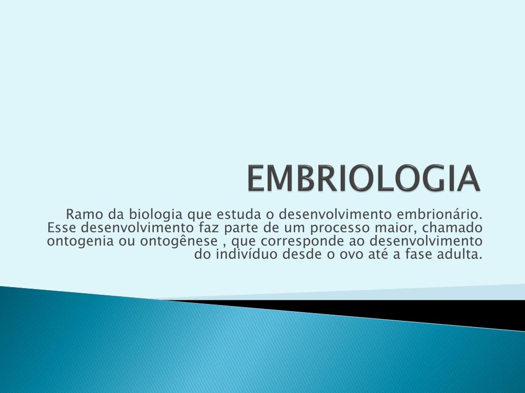 PPT - EMBRIOLOGIA PowerPoint Presentation, free download - ID:4553749