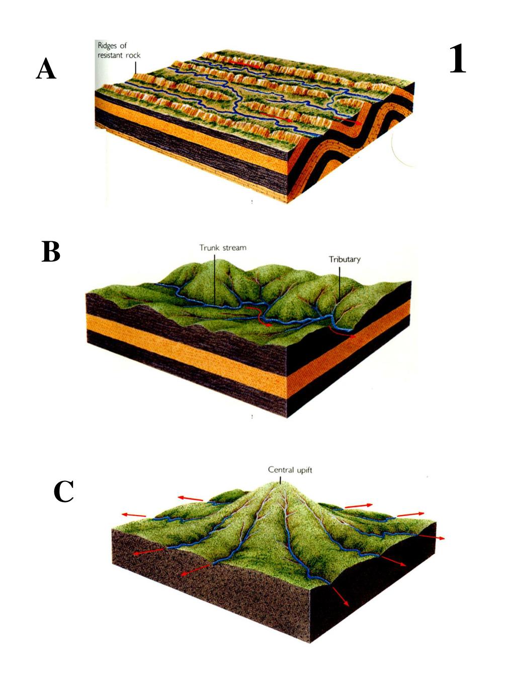 PPT - Drainage Patterns PowerPoint Presentation, free download - ID:4555529