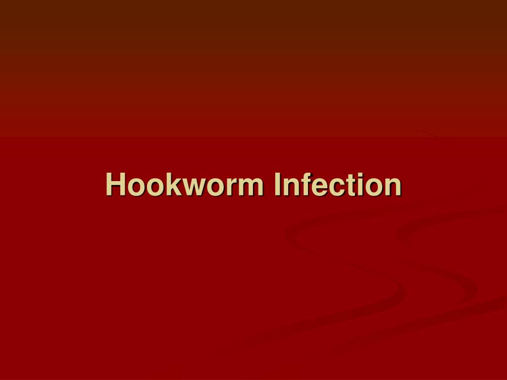 Ppt Hookworm Infection Powerpoint Presentation Free Download Id