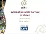PPT - Internal parasite control in sheep PowerPoint Presentation, free ...