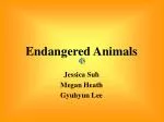 PPT - Endangered Animals PowerPoint Presentation, free download - ID:206986