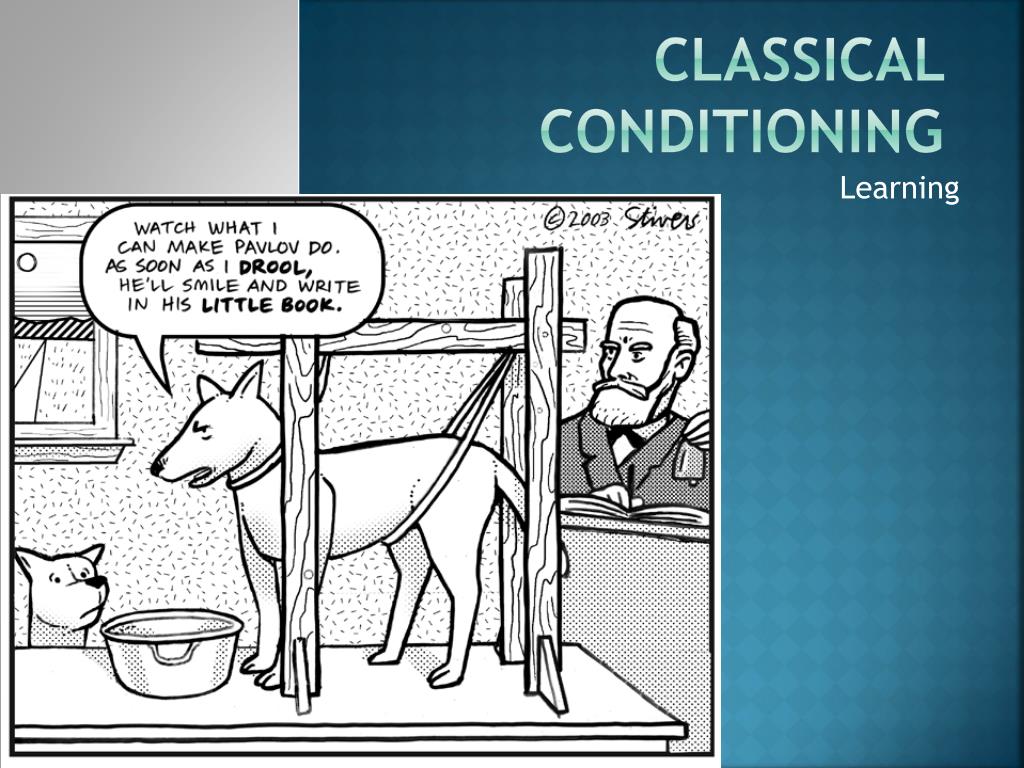PPT - CLASSICAL CONDITIONING PowerPoint Presentation, free download ...